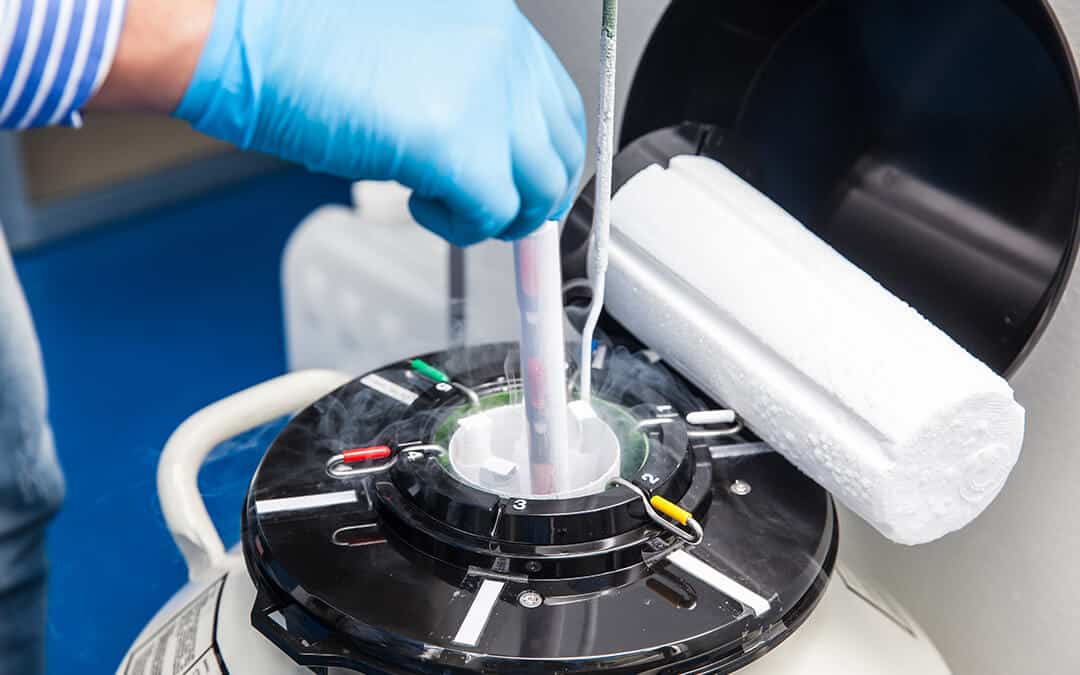 Cryogenic Gases | Carbon Dioxide & Liquid Nitrogen